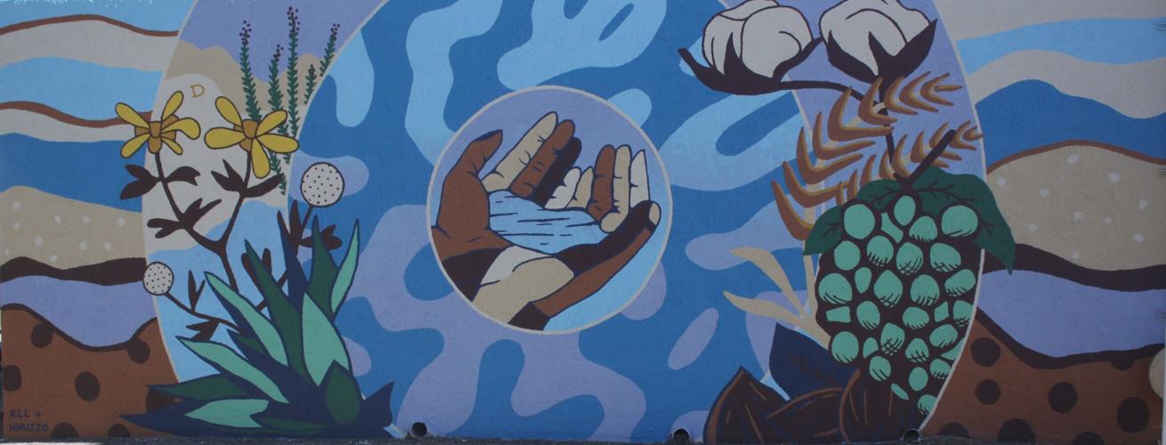 Douglas Public Library has a new mural | Douglas Dispatch ...