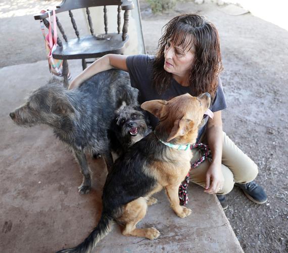 Let's Save Some Douglas Dogs founder need donations, volunteers ...