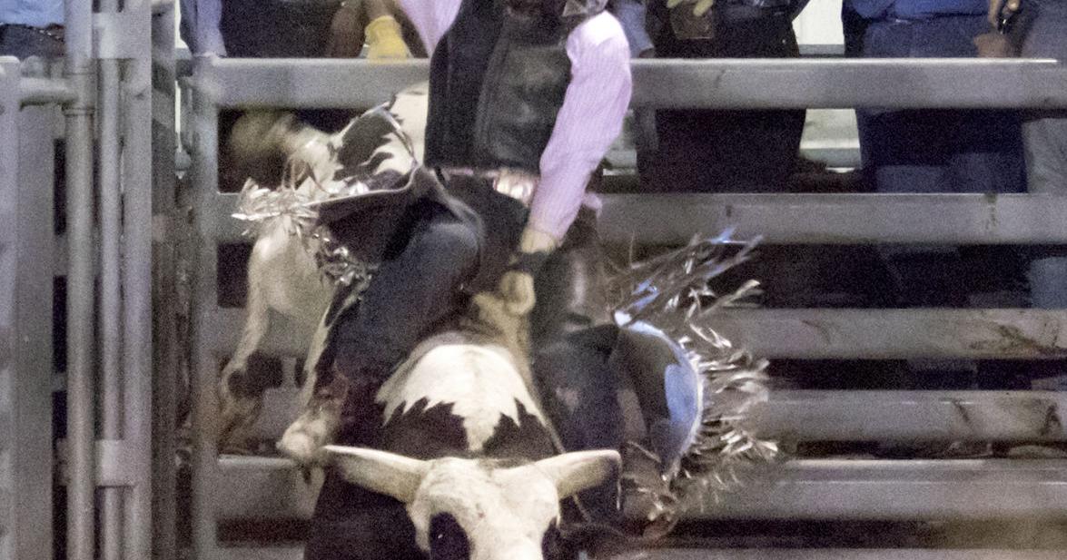 Photo gallery: Mutton busting and bull riding, April 21 ...