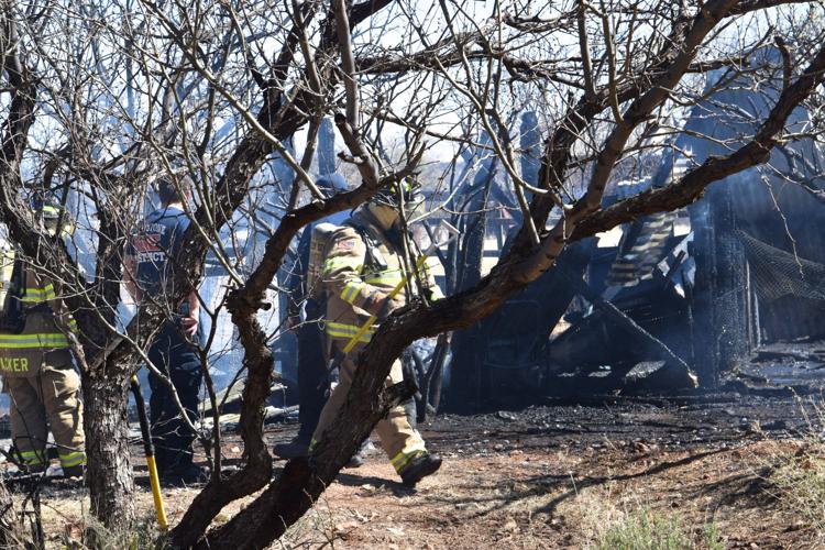 Animals killed in Whetstone fire sparked by unattended heat lamp ...