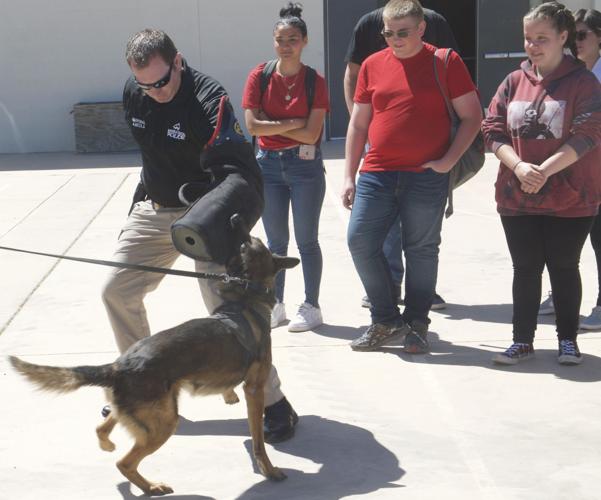 Investigating the future: Career Day at Tombstone High opens doors to ...