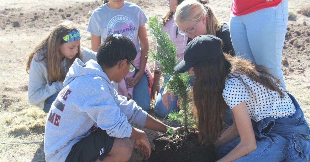 Roots take hold after tree planting Thursday | Willcox Range News ...