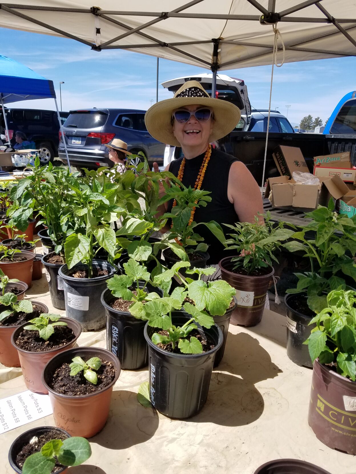 Elfrida has a Saturday farmers market again | Cochise County ...