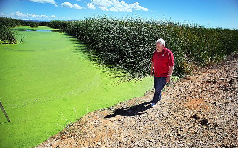 Former Sierra Vista Mayor Rick Mueller dies Wednesday at 70 | Sierra ...