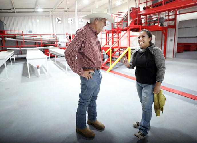 County farmer, innovater, builds chile empire in the desert | Cochise ...