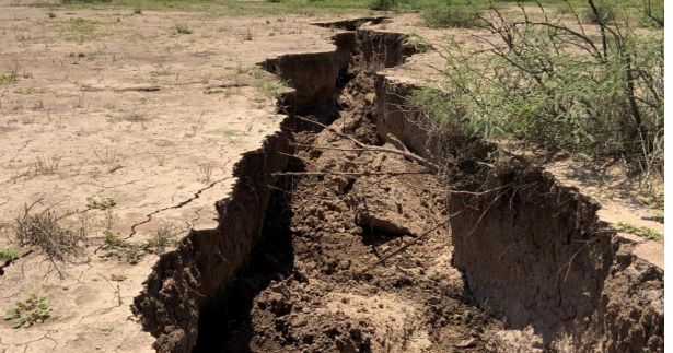 Residents, farmers wait for ADWR decision on Willcox AMA, Grassroots ...