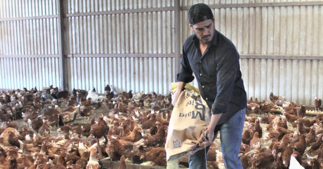 Cruz Farm in Douglas provides nutrient-dense food | Douglas Dispatch ...