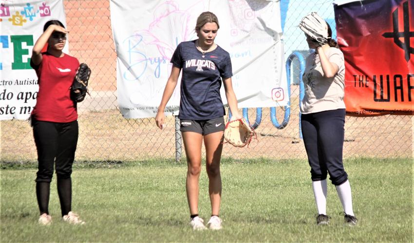 Douglas softball gets help from an Arizona Wildcat player | Local ...