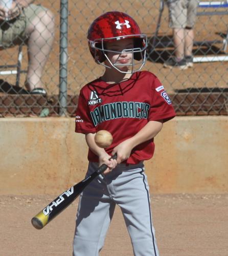 Avengers conclude another successful baseball season | Local Sports ...