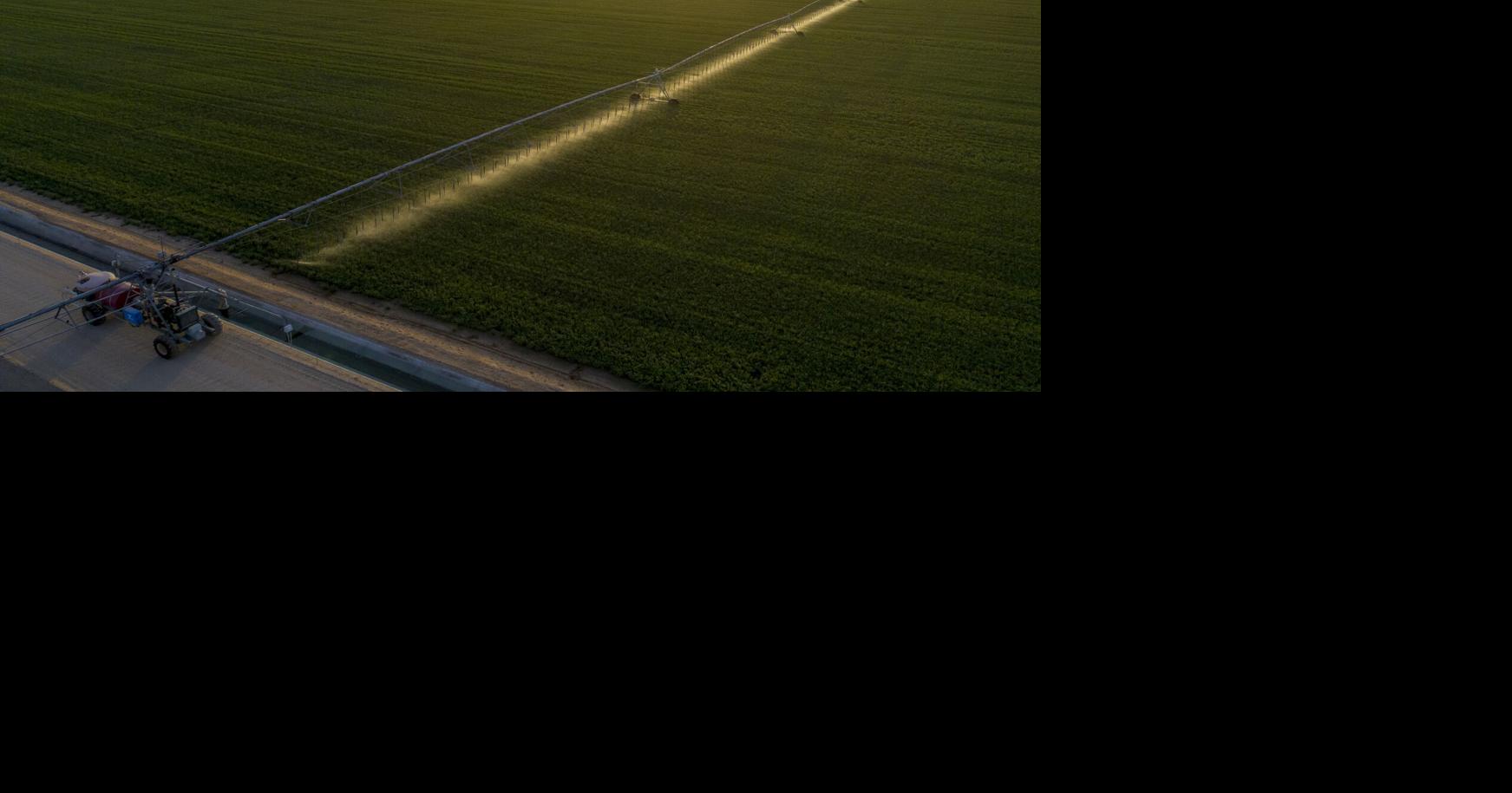 Arizona Farm and Ranch Group fighting AG Mayes over Saudi alfalfa ...
