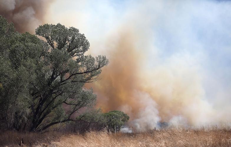 Williams Fire burns 500 acres, destroys two homes in Hereford area ...