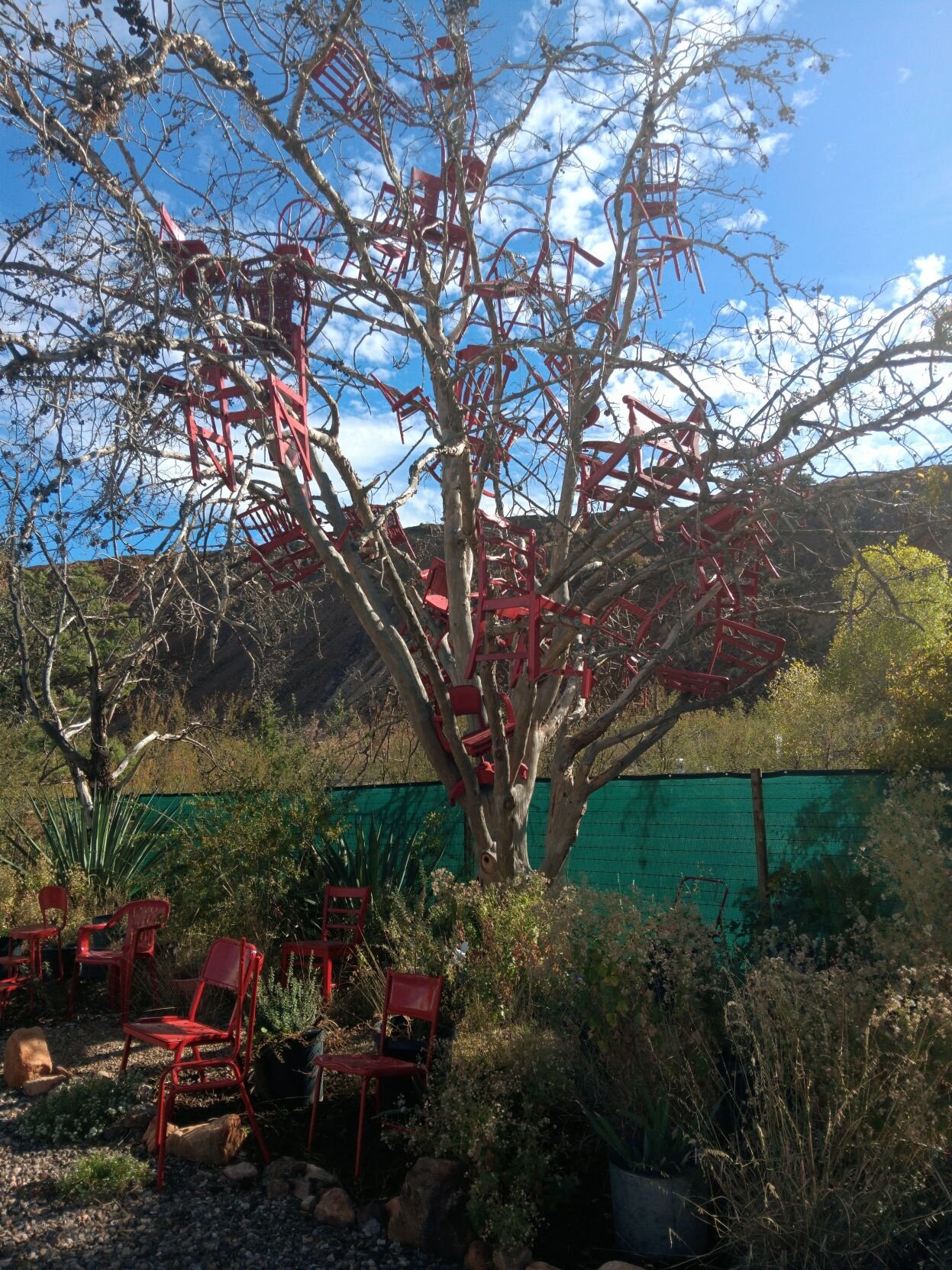 Kenneth Ober creates vibrant, yet ethereal, works of art | Local News ...