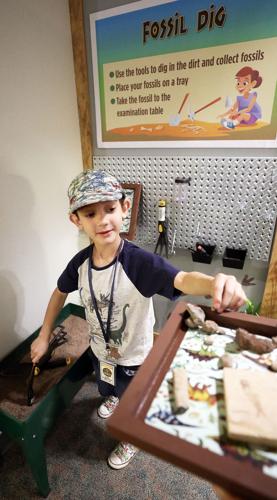 Dinosaur exhibit roars into Sierra Vista! | Community | myheraldreview.com