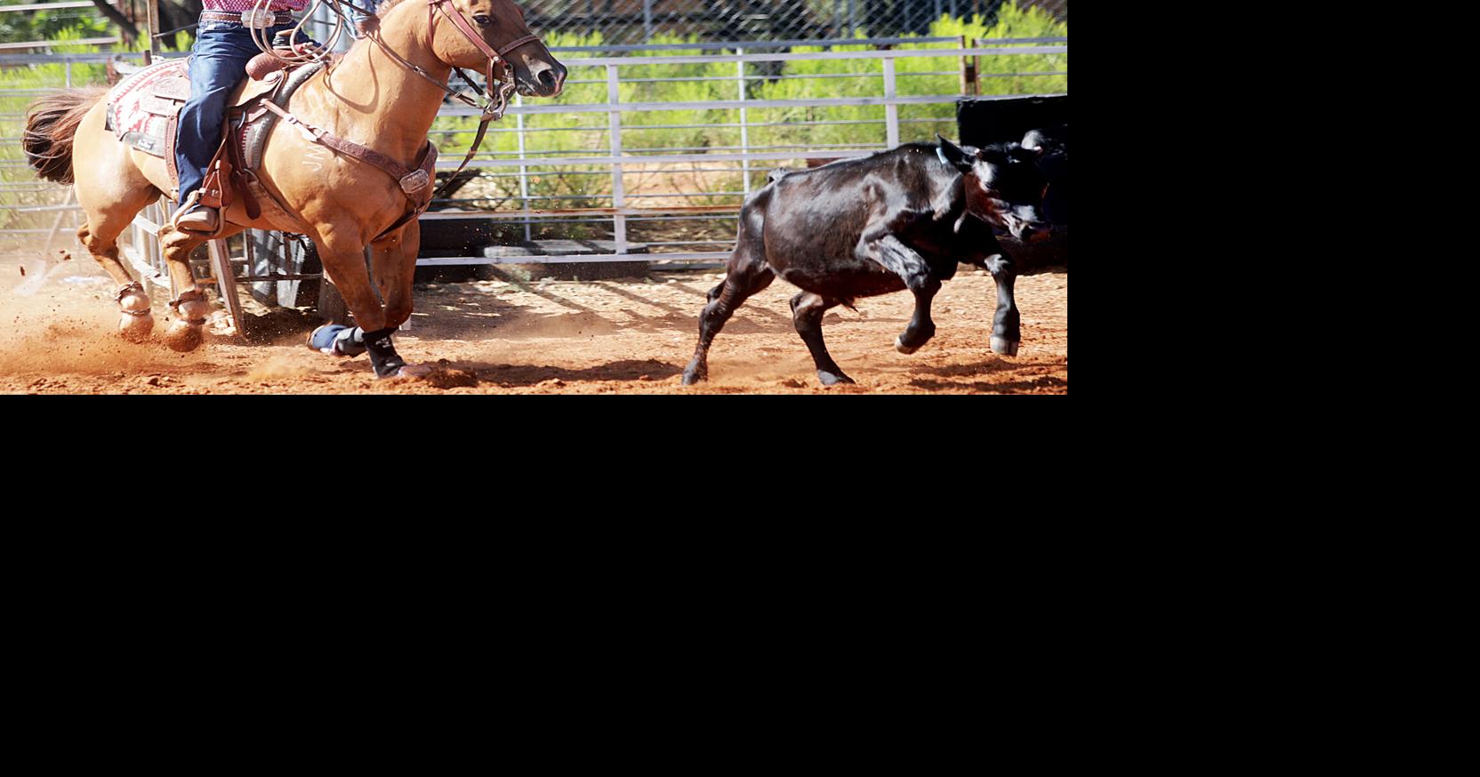 For the love of rodeo | Benson News-Sun | myheraldreview.com