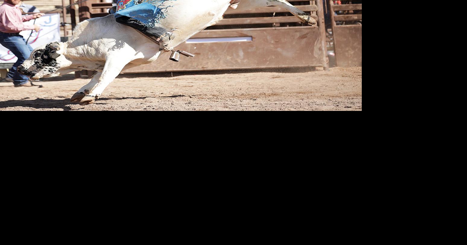 Join Shoot Out's bull riding thrills | | myheraldreview.com
