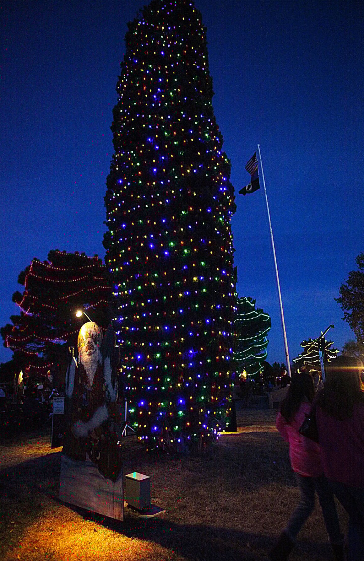 Complete list of local Christmas events this month | Complementary ...