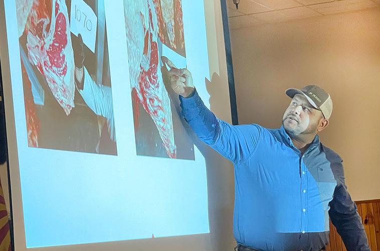 Cochise County Fair's carcass show competition all about what's under ...