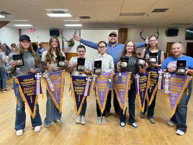 Cochise County Fair's carcass show competition all about what's under ...