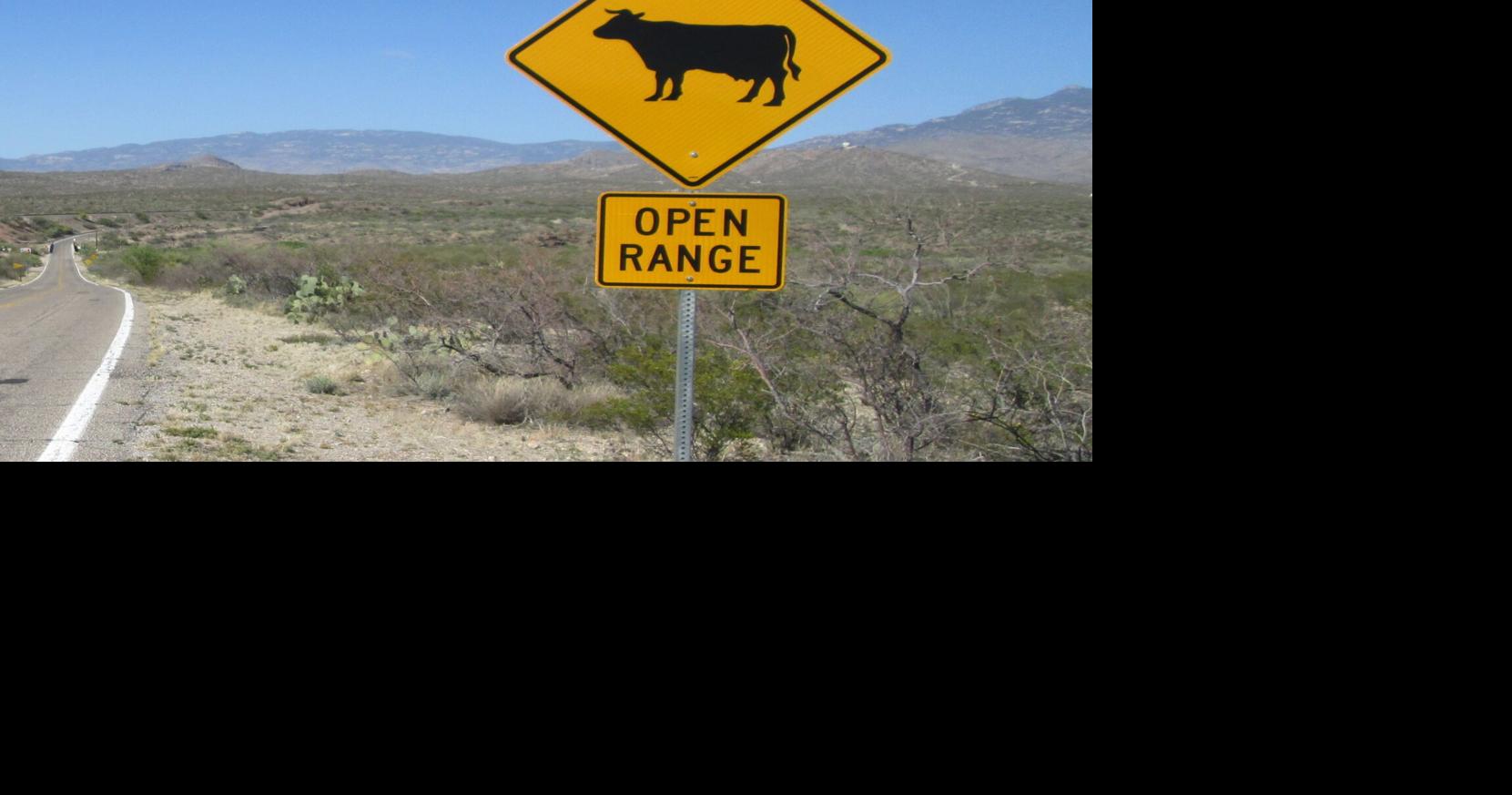 Open Range law may hold key to lawsuit after 2019 accident | Cochise ...