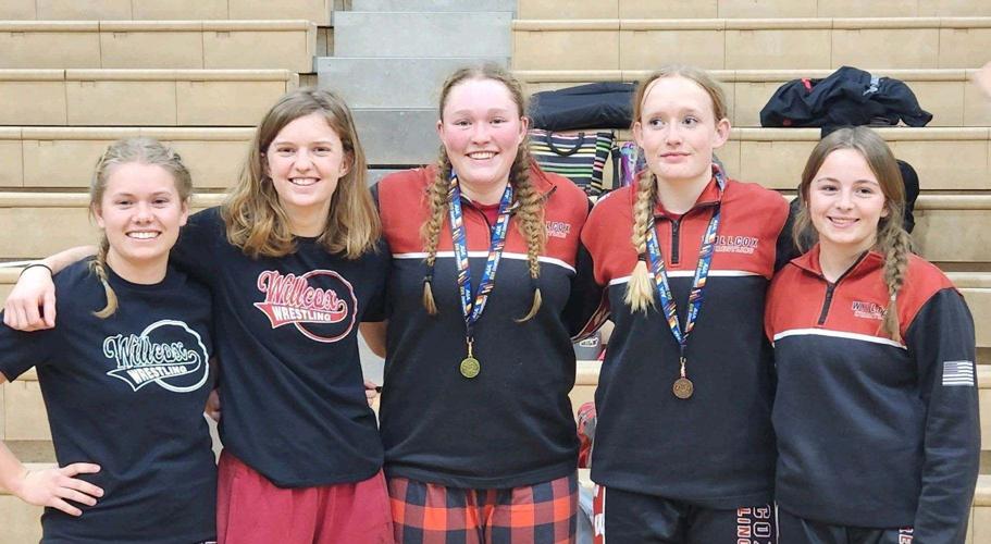 Bisbee’s Noriega, Willcox’s Larson win girls wrestling sectional titles ...