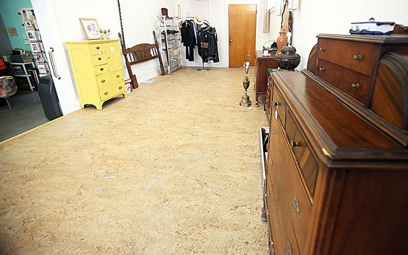 Gimme Shelter helps Bisbee animals find happy homes | Business ...