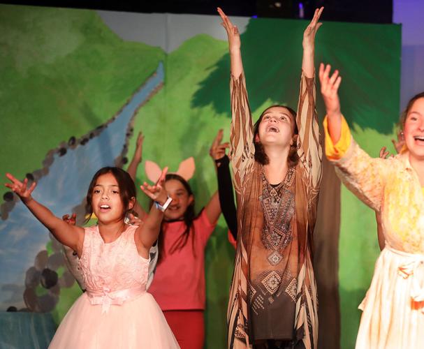 SVCT debuts 'Honk,' a musical adaptation of 'Ugly Duckling' Friday ...