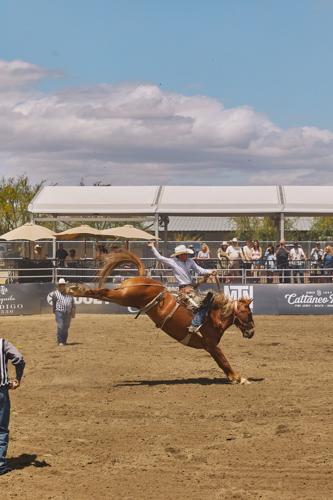 Where Rhinestones Meet the Rodeo | Lifestyle | myheraldreview.com