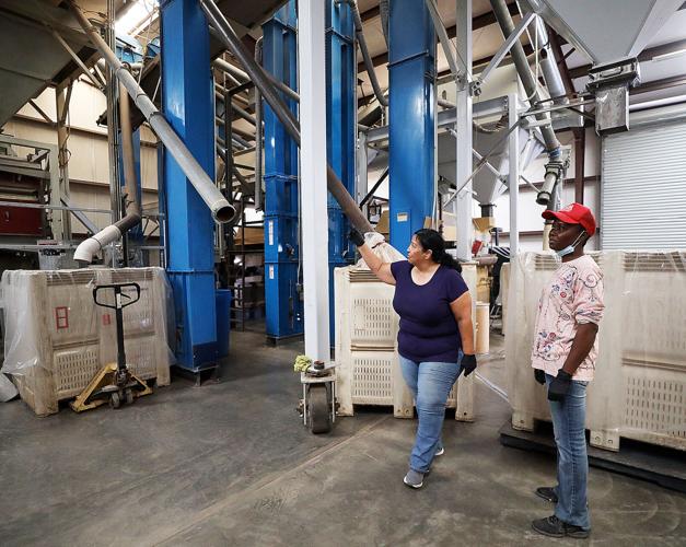 County farmer, innovater, builds chile empire in the desert | Cochise ...
