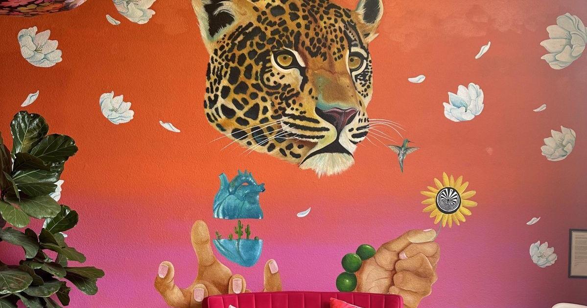 Adoptions surge at Tucson cat cafe | Lifestyle | myheraldreview.com