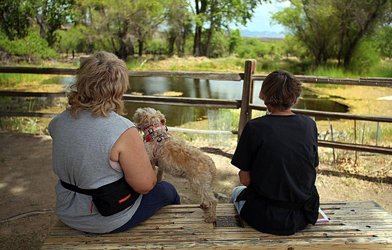 Brown Canyon Ranch celebrates 10th annual open house | Complementary ...