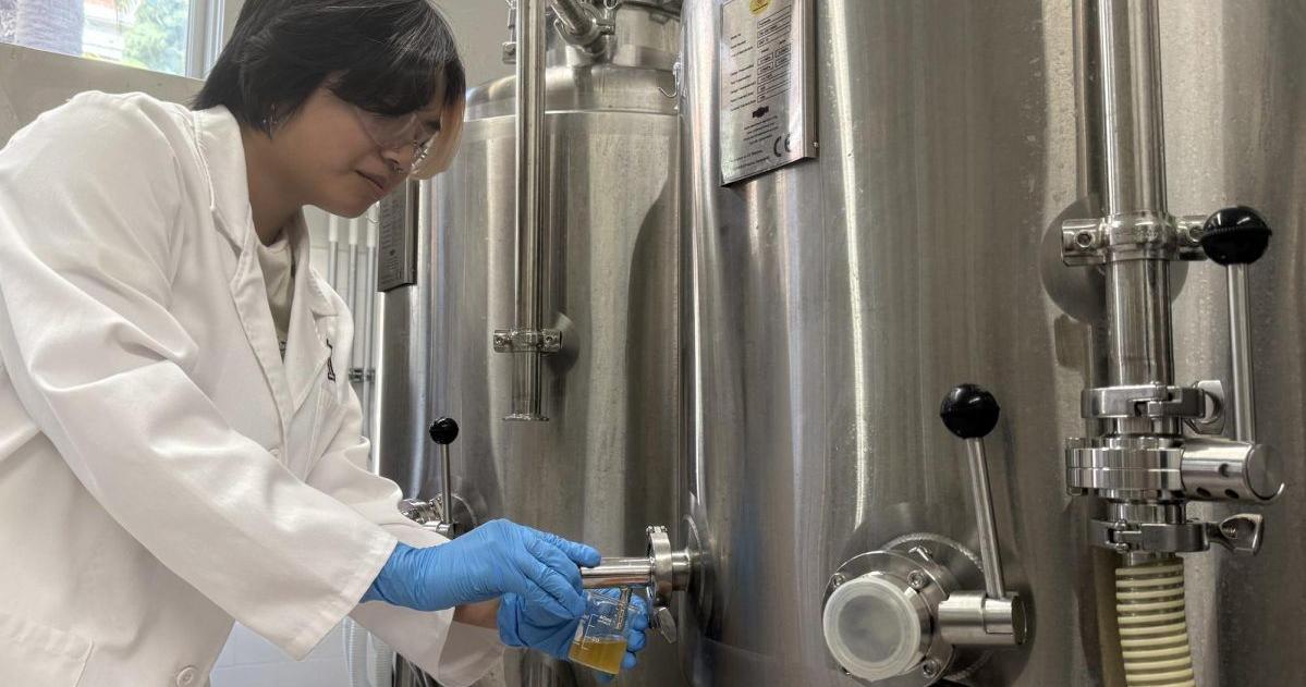 A new program has U of A students brewing beer on campus | Education ...