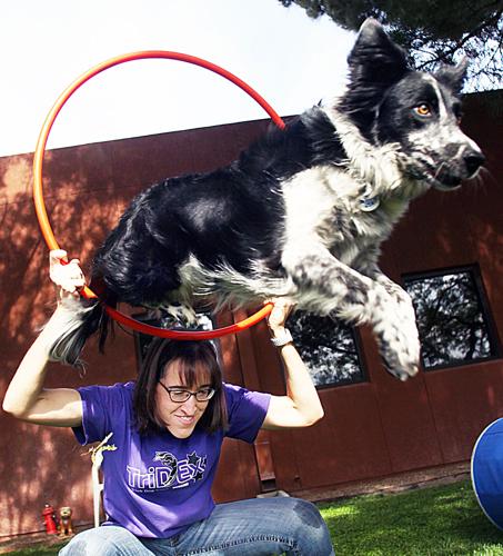 Local trick dogs win national competition | Community | myheraldreview.com