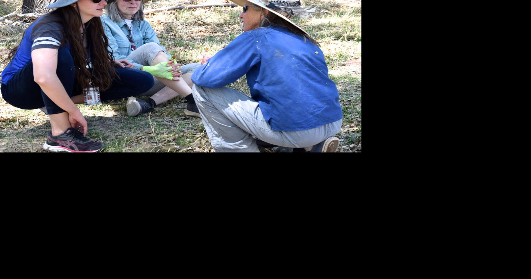 Gray Hawk Nature Center seeks new director | Cochise County ...