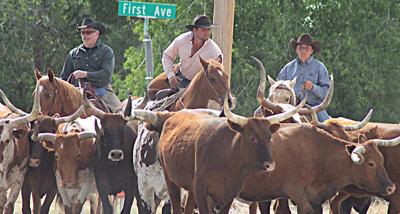 What's Happening | Willcox Range News | myheraldreview.com