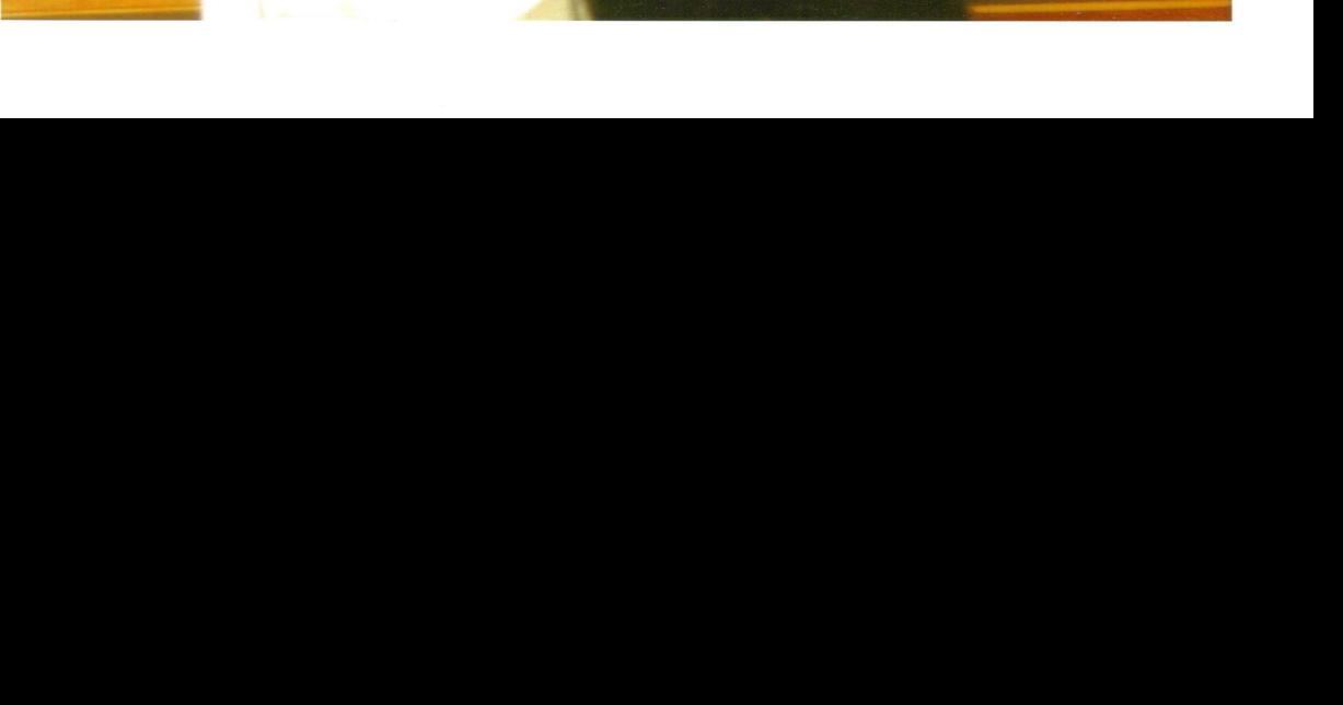 Gary and Marjorie (Kittredge) Briles 50th anniversary announcement ...