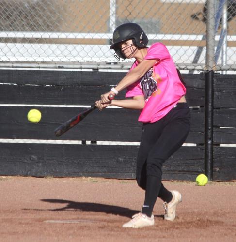 Douglas High School gearing up for another softball season | Douglas ...