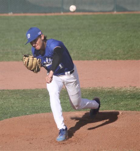 Buena’s Pitts hurls 4-hit shutout at Douglas | Local Sports ...