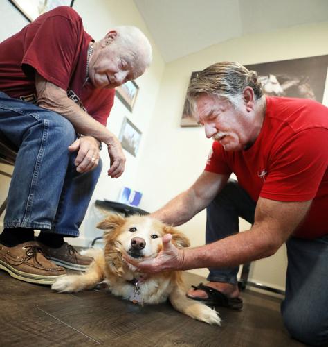 Longtime chiropractor Roger Roberts applies his skills to the animal ...