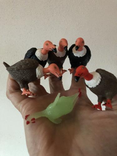 Celebrate 'Return of the Turkey Vultures' in Bisbee | Bisbee ...