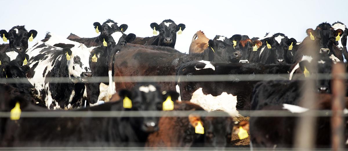 Well sweep begins in Willcox Basin | Willcox Range News ...