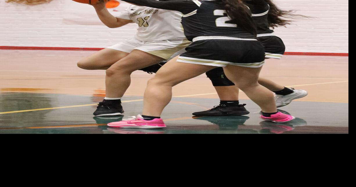 Douglas girls win Benson Basketball Holiday Invitational for third ...