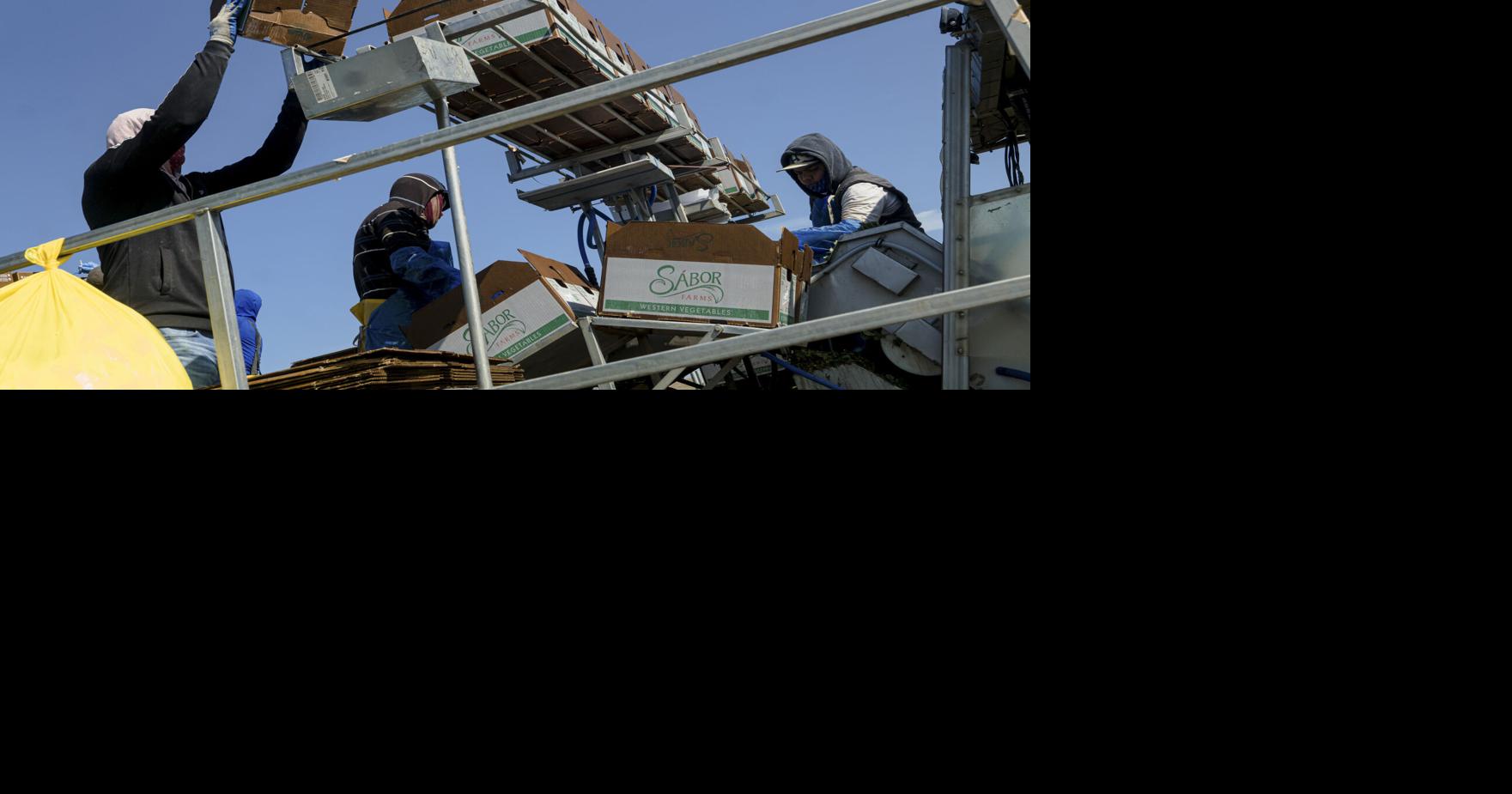 A Chill Sets In for Immigrant Workers, and Those Who Hire Them | Border ...