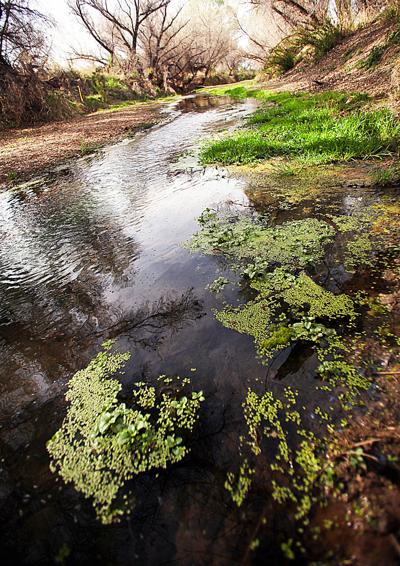 Bisbee council approves effluent option contract | Local News Stories ...
