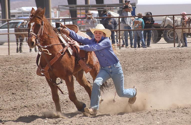 Willcox Junior Rodeo Association April Rodeo Results | Willcox Range ...