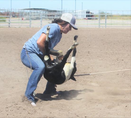 Cochise College to host rodeo this weekend at Cochise County Fair ...