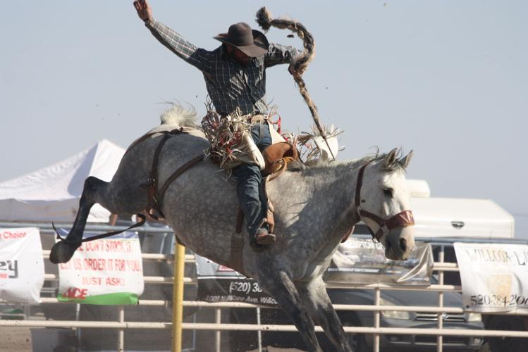 Rex Allen Days Rodeo boasts large turnout | Willcox Range News ...