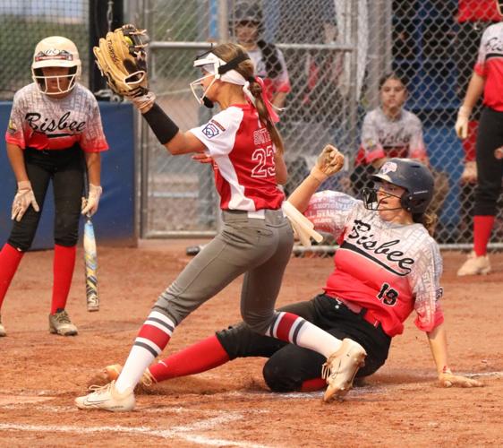 Douglas, Sierra Vista Ponytail win District 8 softball championships ...
