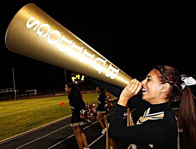 Douglas alum Erika Urquijo-Ruiz returns to lead Bulldogs cheer program ...