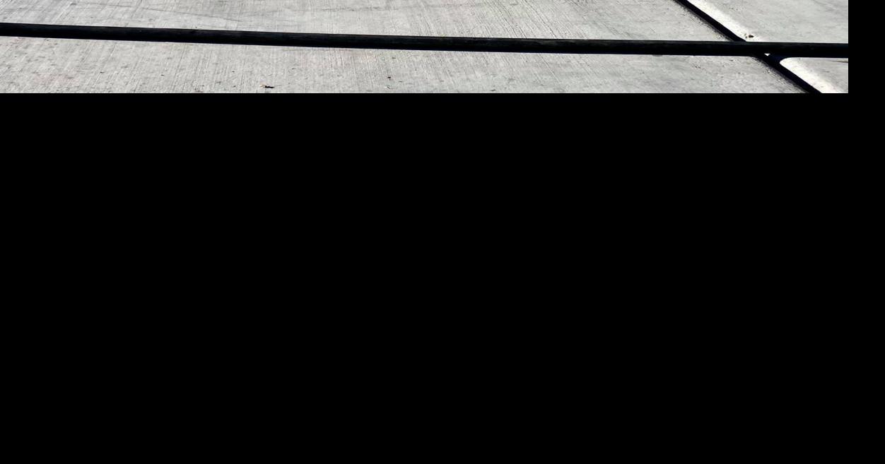 New shelter manager boosts adoptions for pets in need | Willcox Range ...