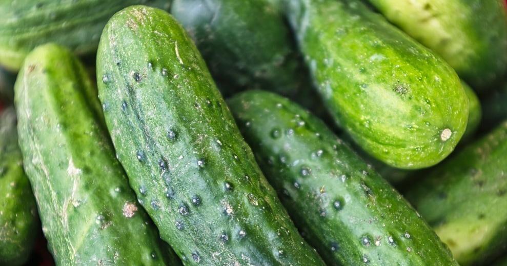 Major cucumber recall impacts Arizona | State | myheraldreview.com